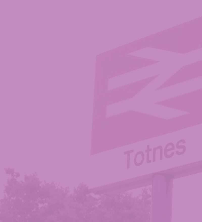 plan visit totnes - Visit Totnes