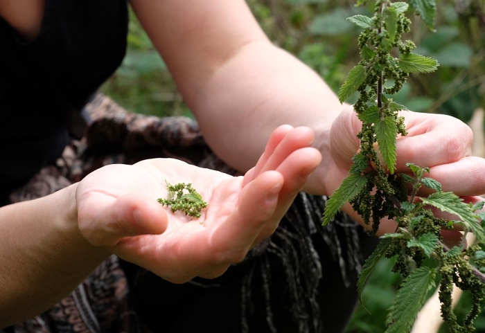 Nettle foraging - Visit Totnes