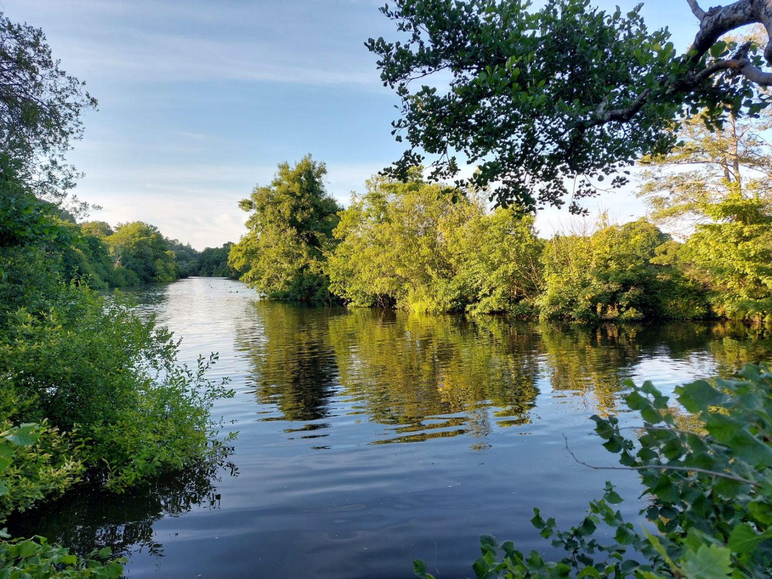Top 4 wild swimming spots in and around Totnes - Visit Totnes