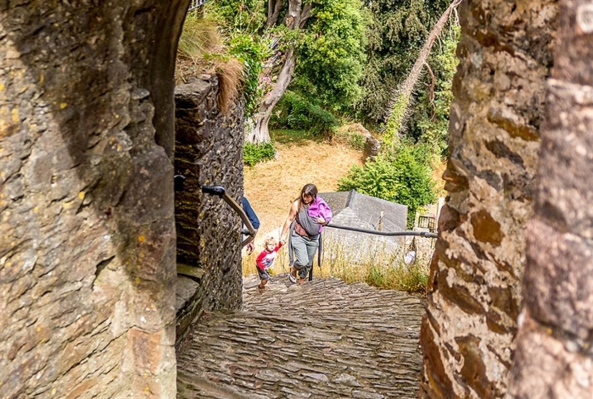 Totnes Castle - Visit Totnes