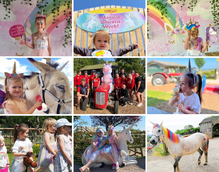 Magical Unicorn Month - Visit Totnes