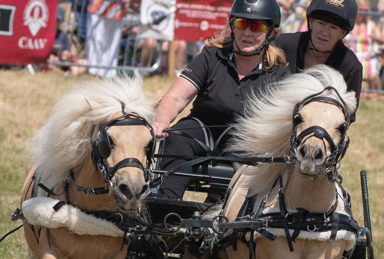 totnes show4 - Visit Totnes